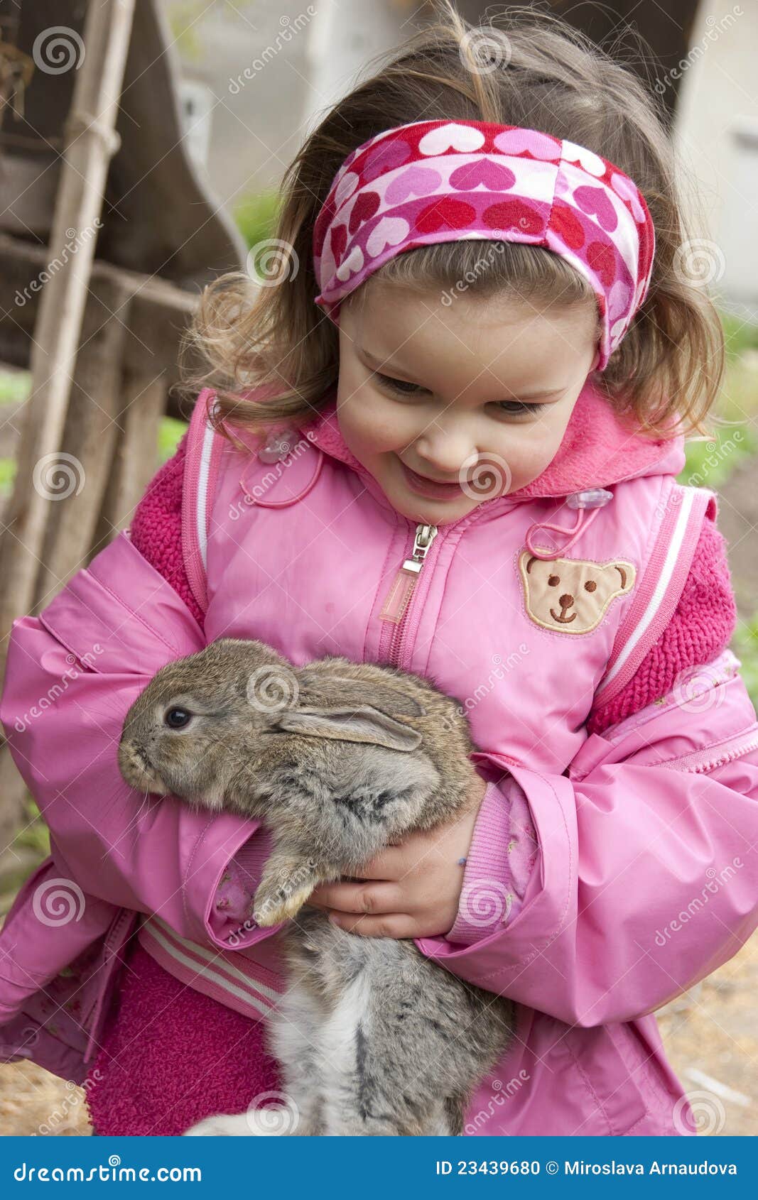 Sweet little rabbit stock photo. Image of garden, childhood - 23439680