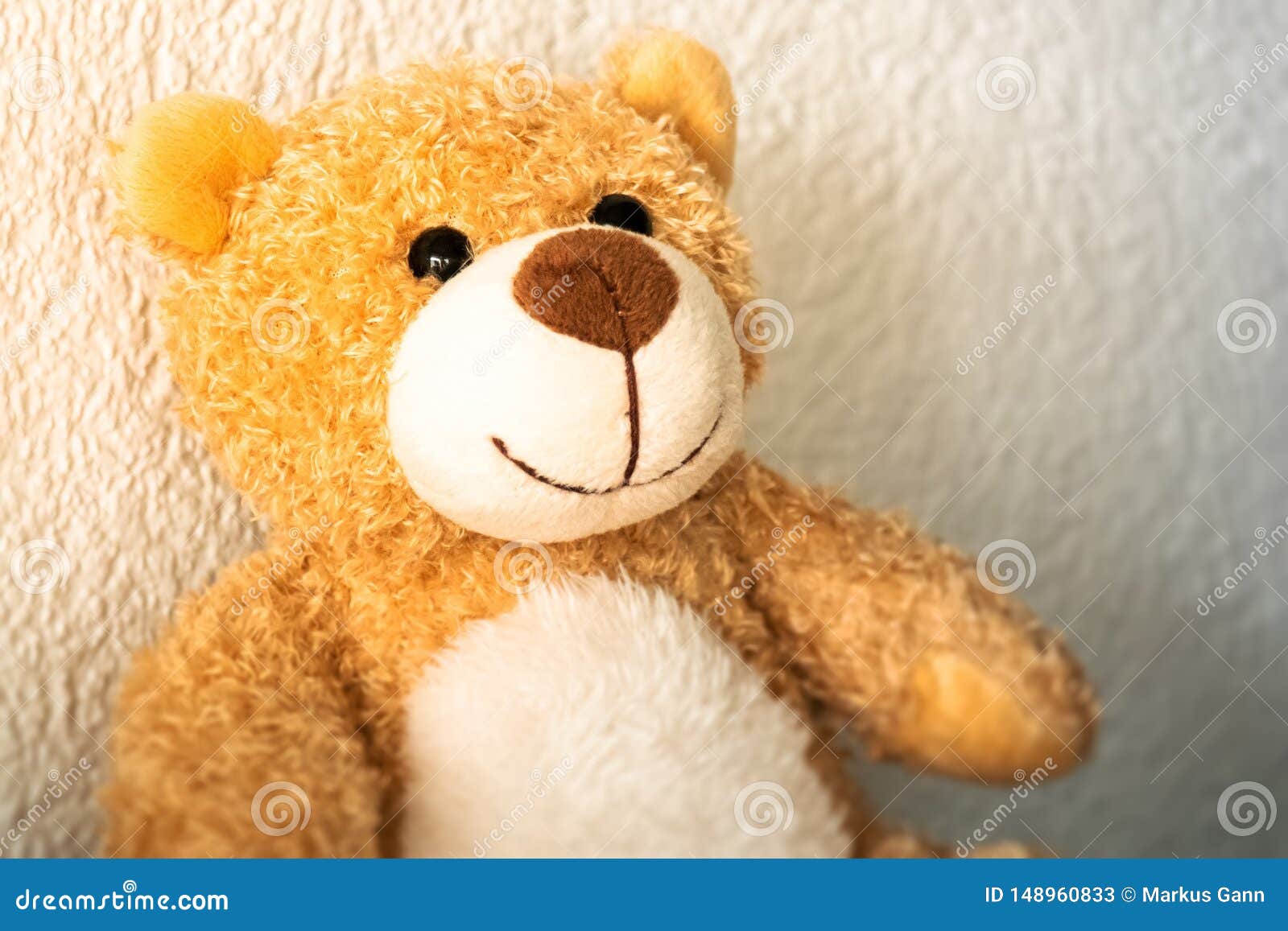 Sweet little teddy bear stock image. Image of brown - 148960833