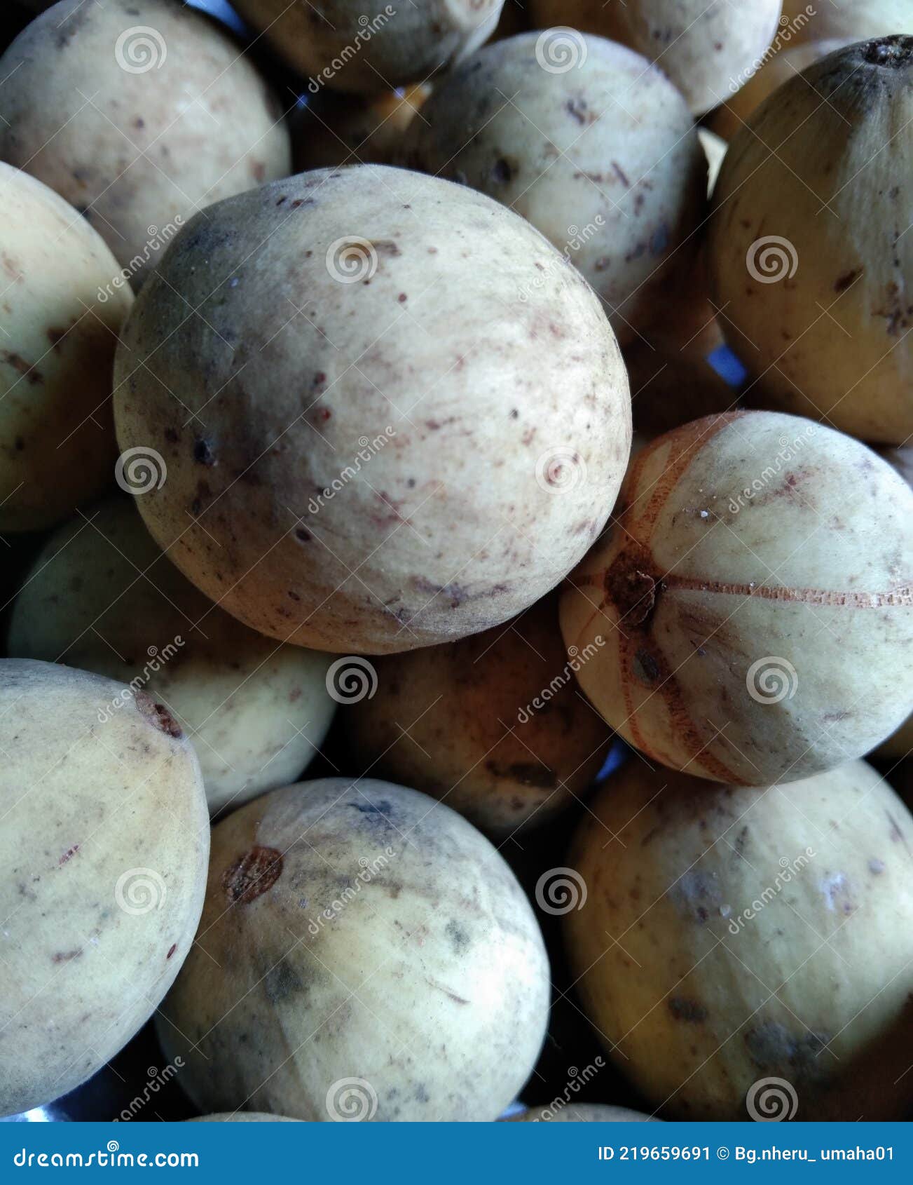 Sweet local duku fruit stock image. Image of local, dukufruit - 219659691