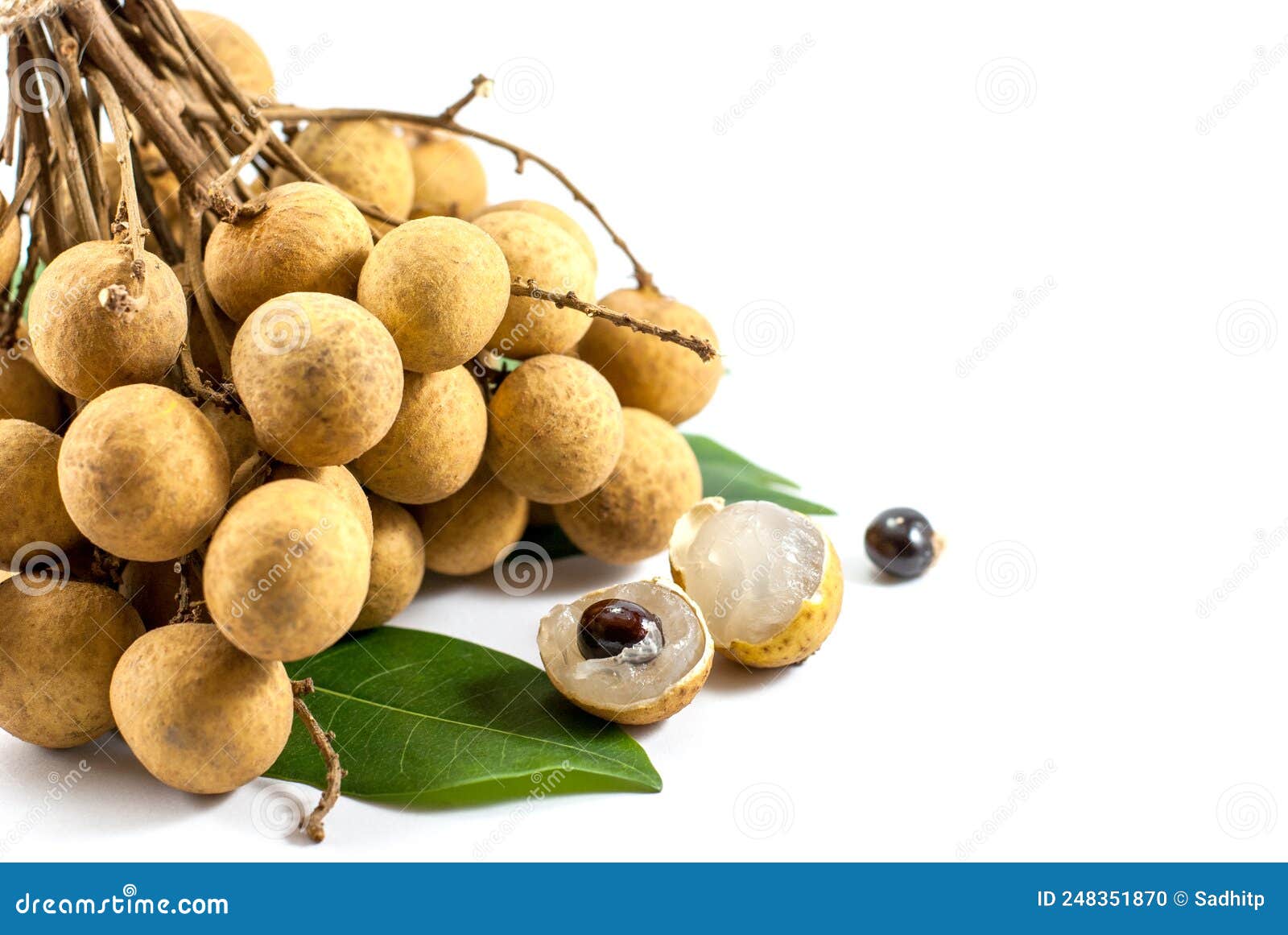 Sweet Longan Fruit with Leaf Shows the White Meat with Black Seed ...