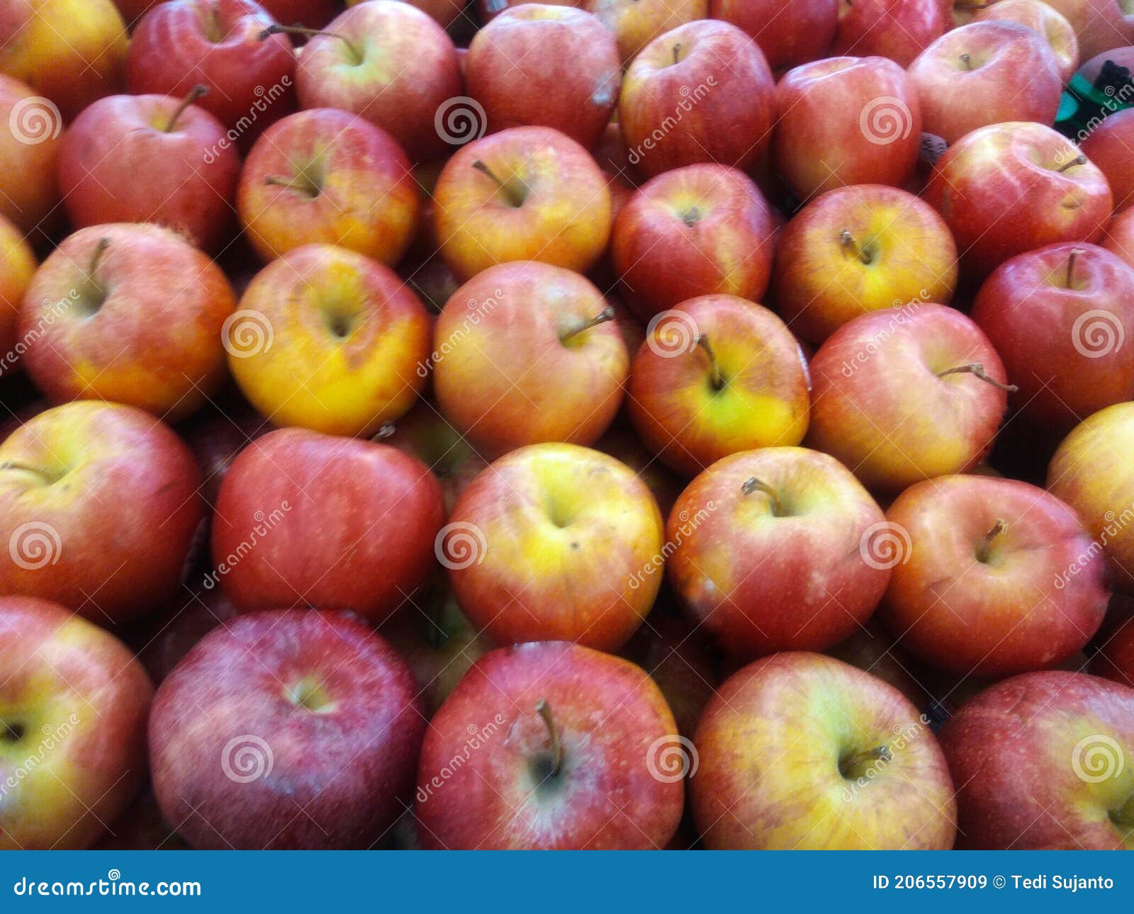 Sweet looking apples stock image. Image of vegetable - 206557909
