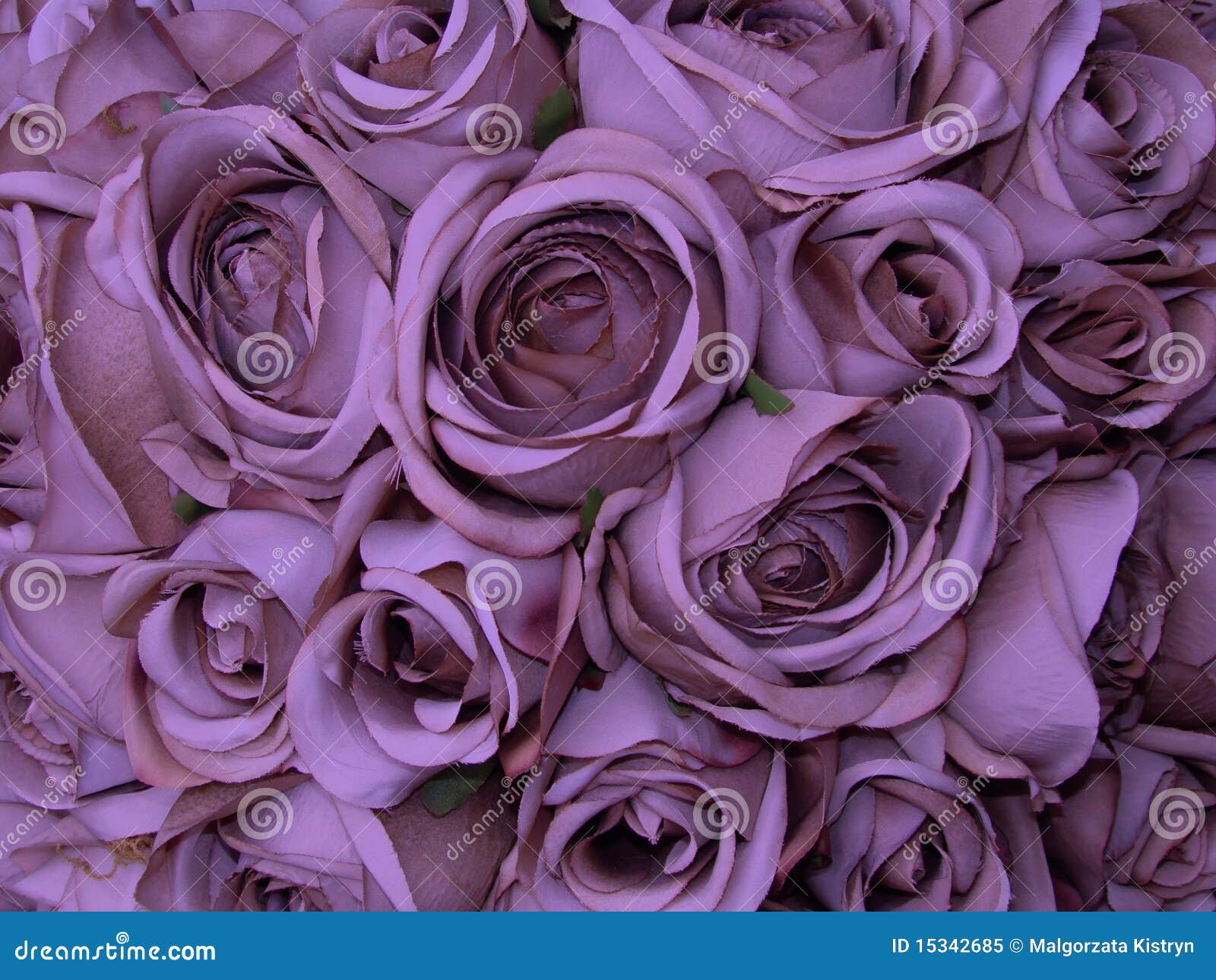 Sweet love stock image. Image of isolate, birthday, elegant - 15342685