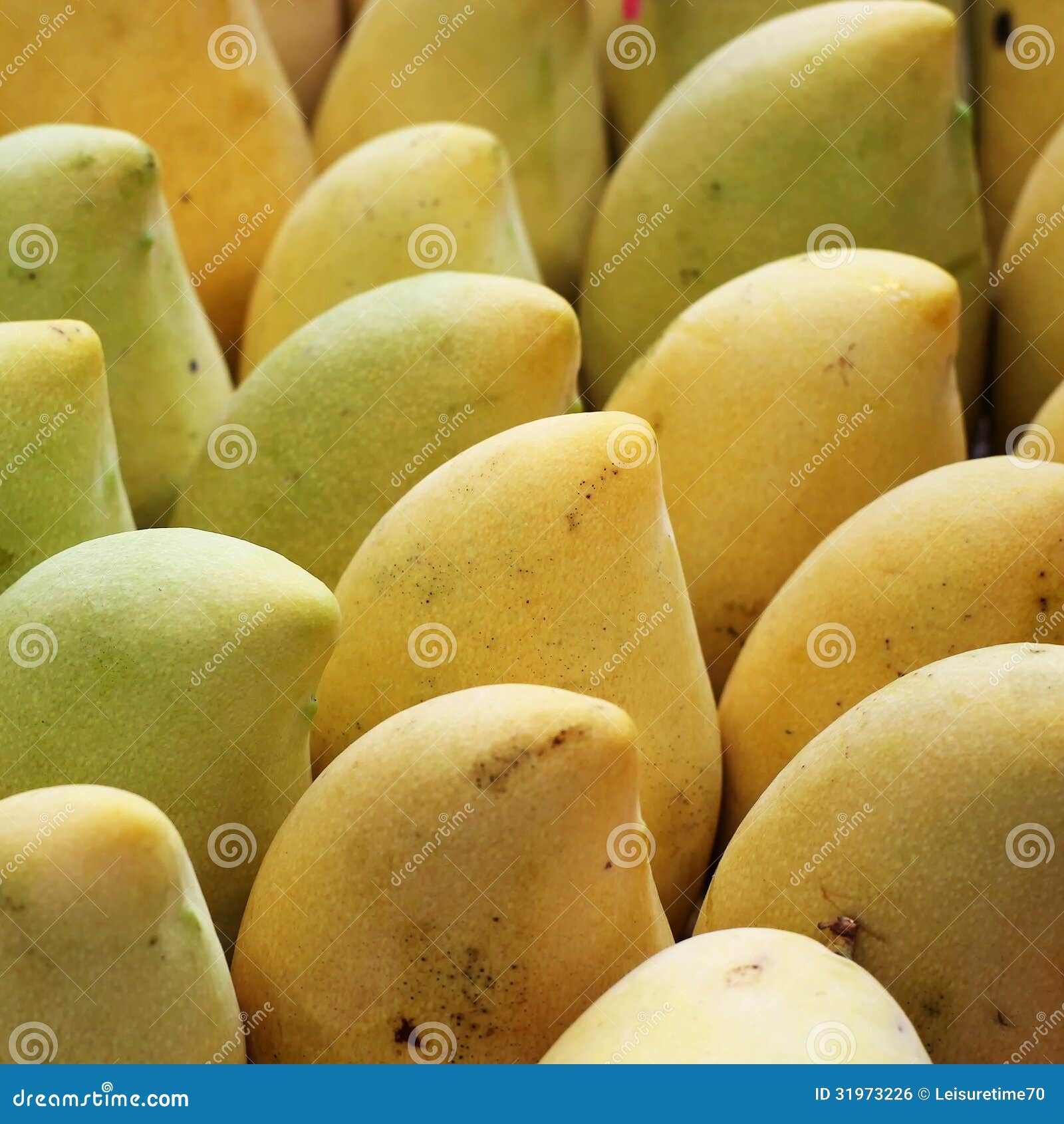 Sweet mango stock photo. Image of fresh, asian, mango - 31973226