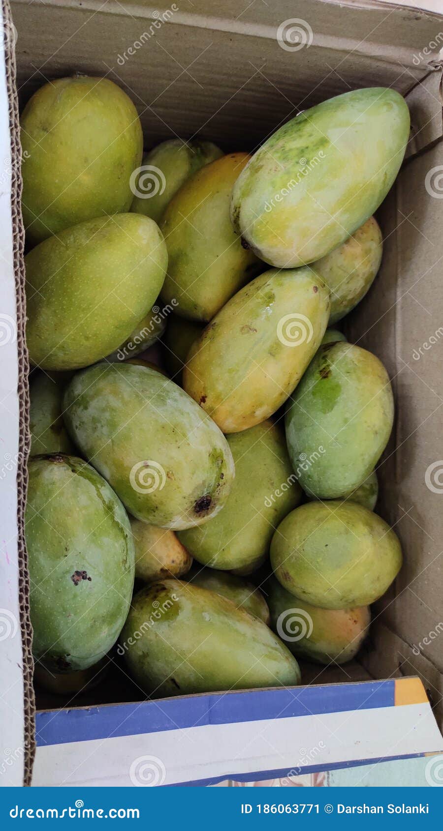 A Sweet Mangoes in Box Indian Mango Stock Image - Image of sweet, mango ...