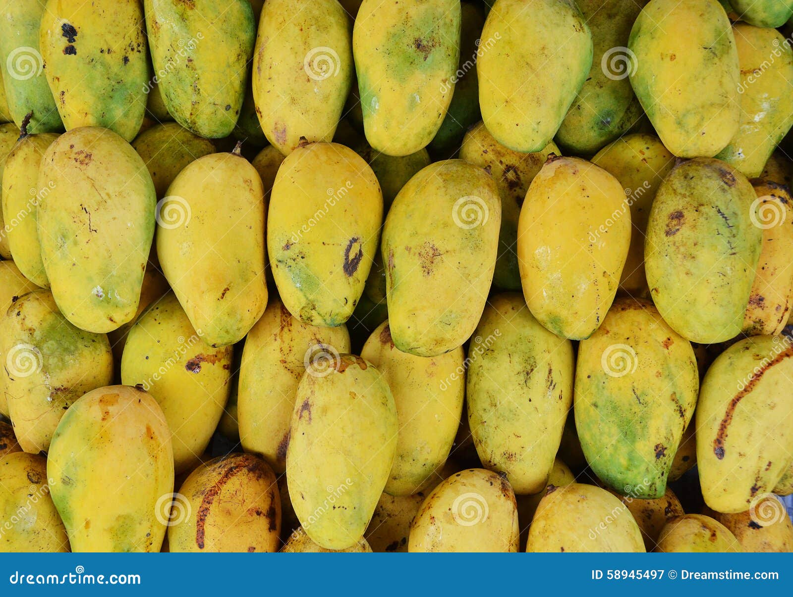 Sweet mangoes stock image. Image of agriculture, delicious - 58945497