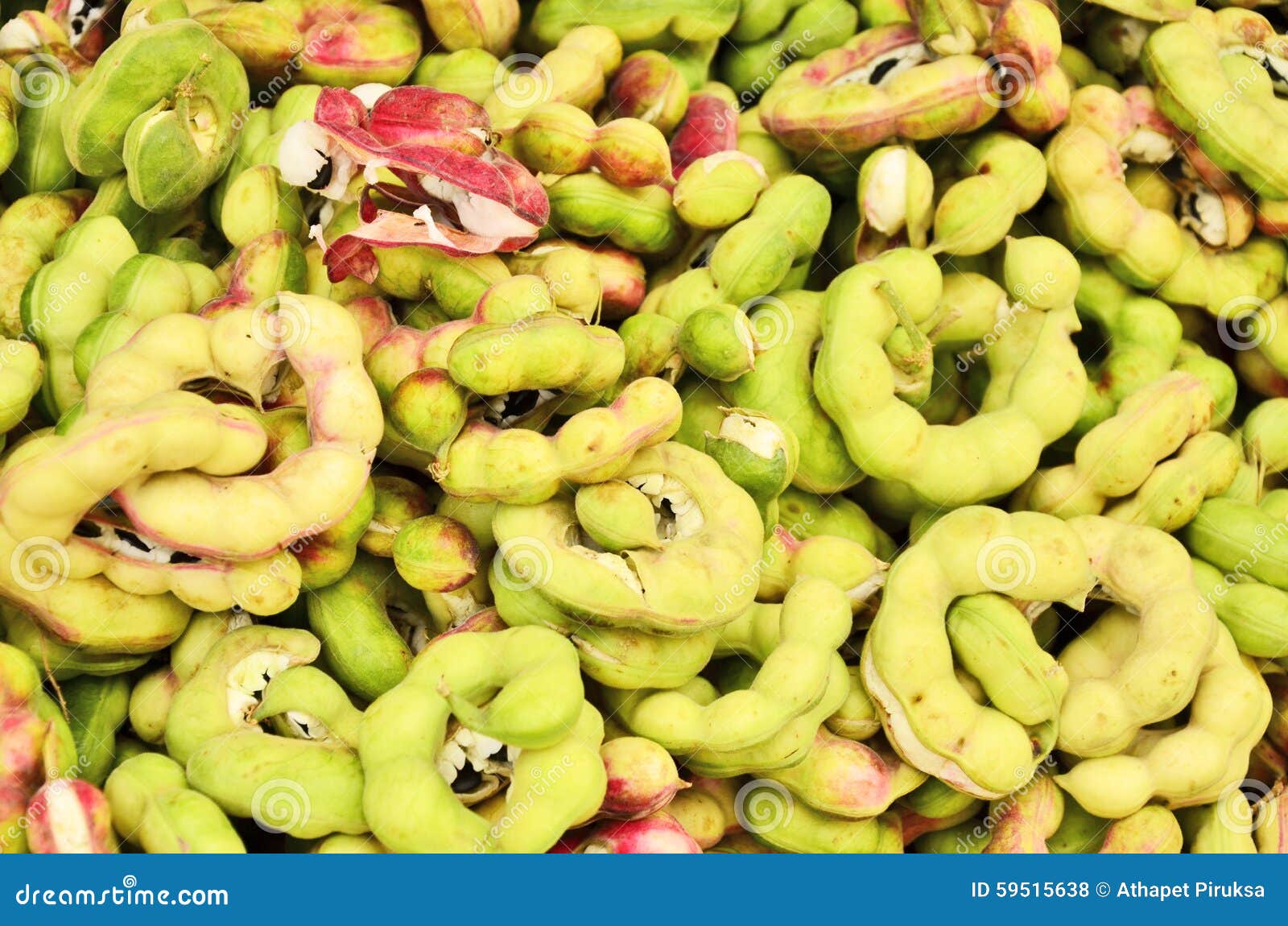 Sweet Manila Tamarind Fruit Stock Photo - Image of seed, organic: 59515638