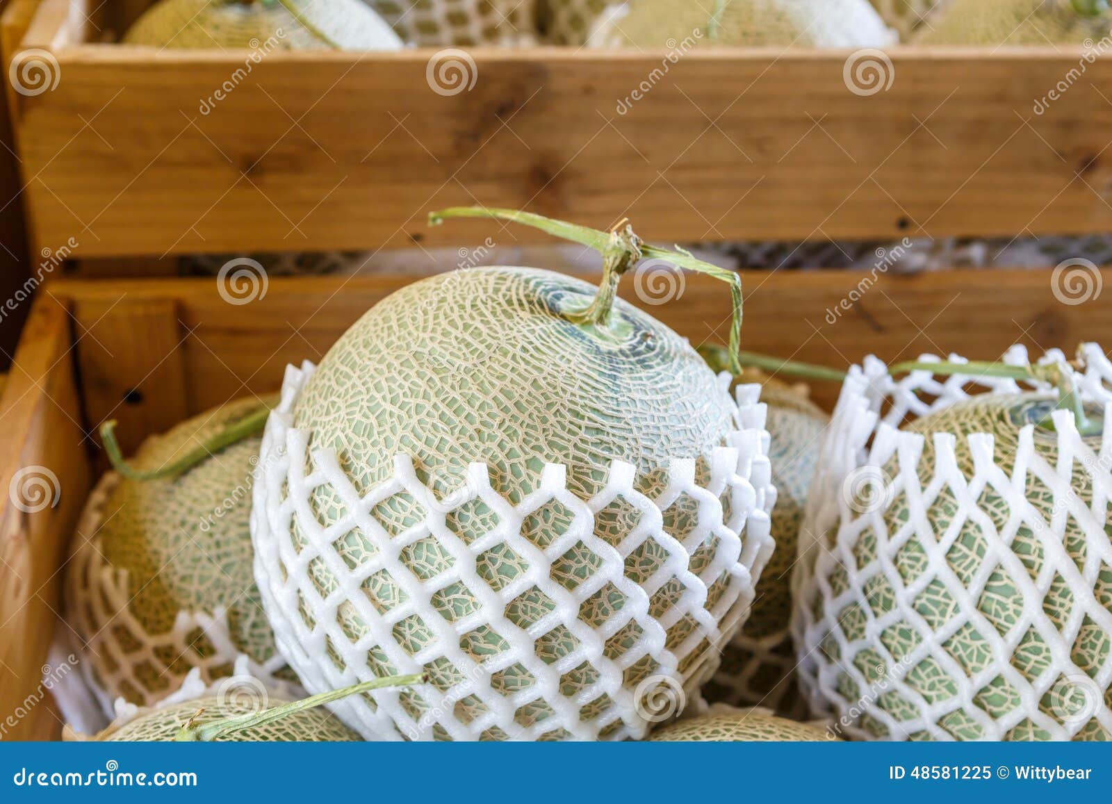 Sweet melon raw stock image. Image of vegetable, diet - 48581225