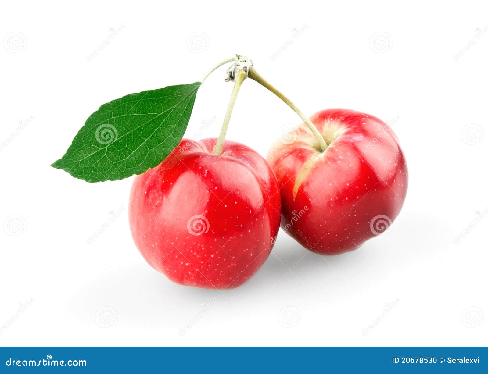 Sweet mini apples stock photo. Image of juice, bright - 20678530