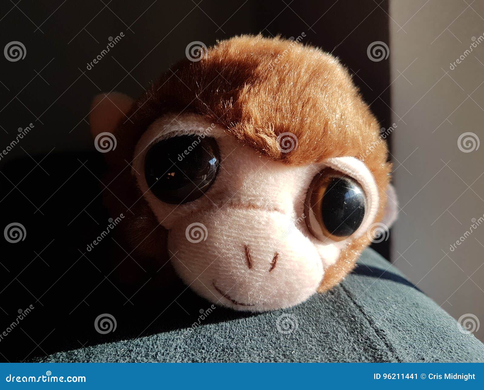 Sweet monkey puppet stock image. Image of head, sweet - 96211441