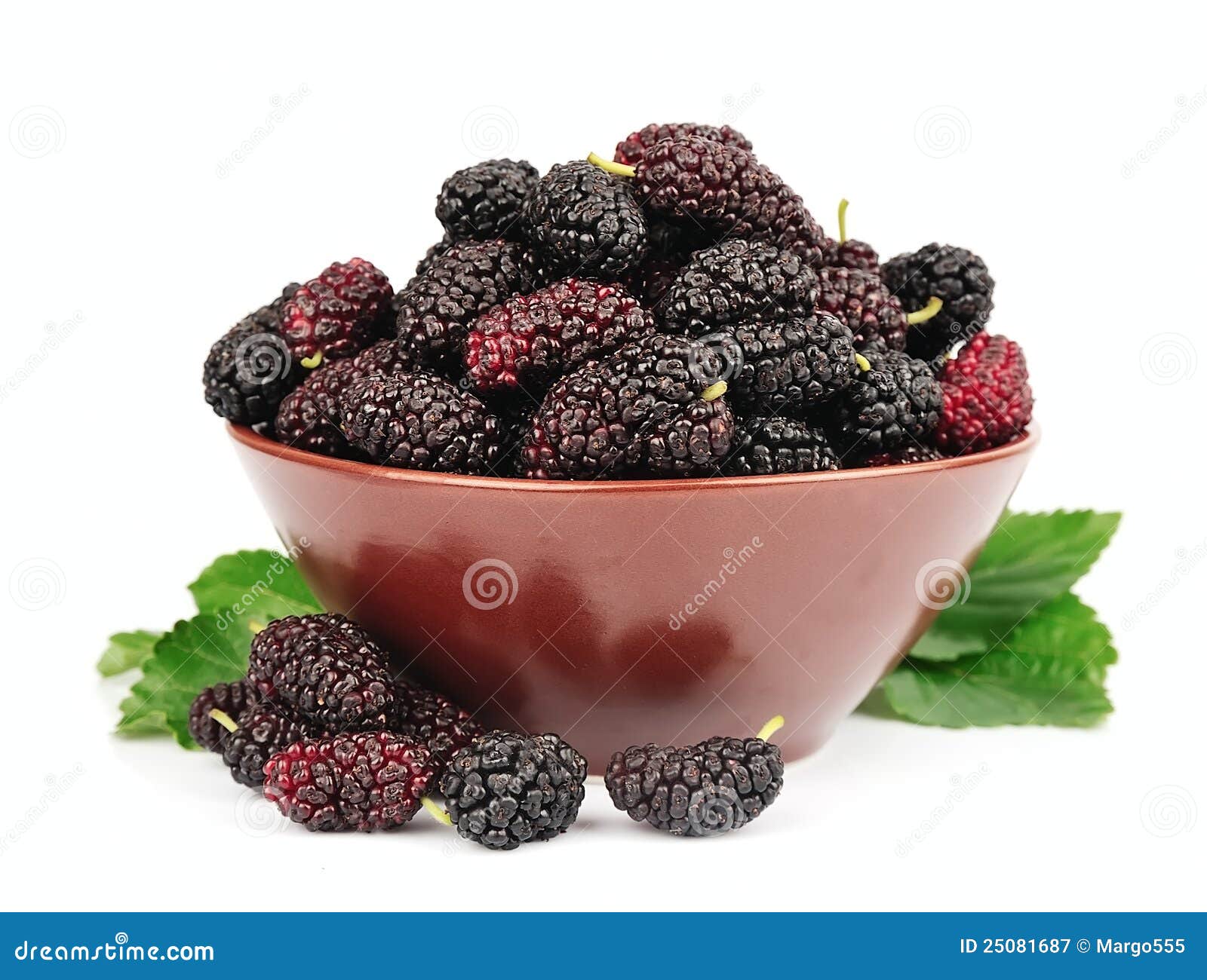 Sweet mulberry stock image. Image of green, black, juicy - 25081687