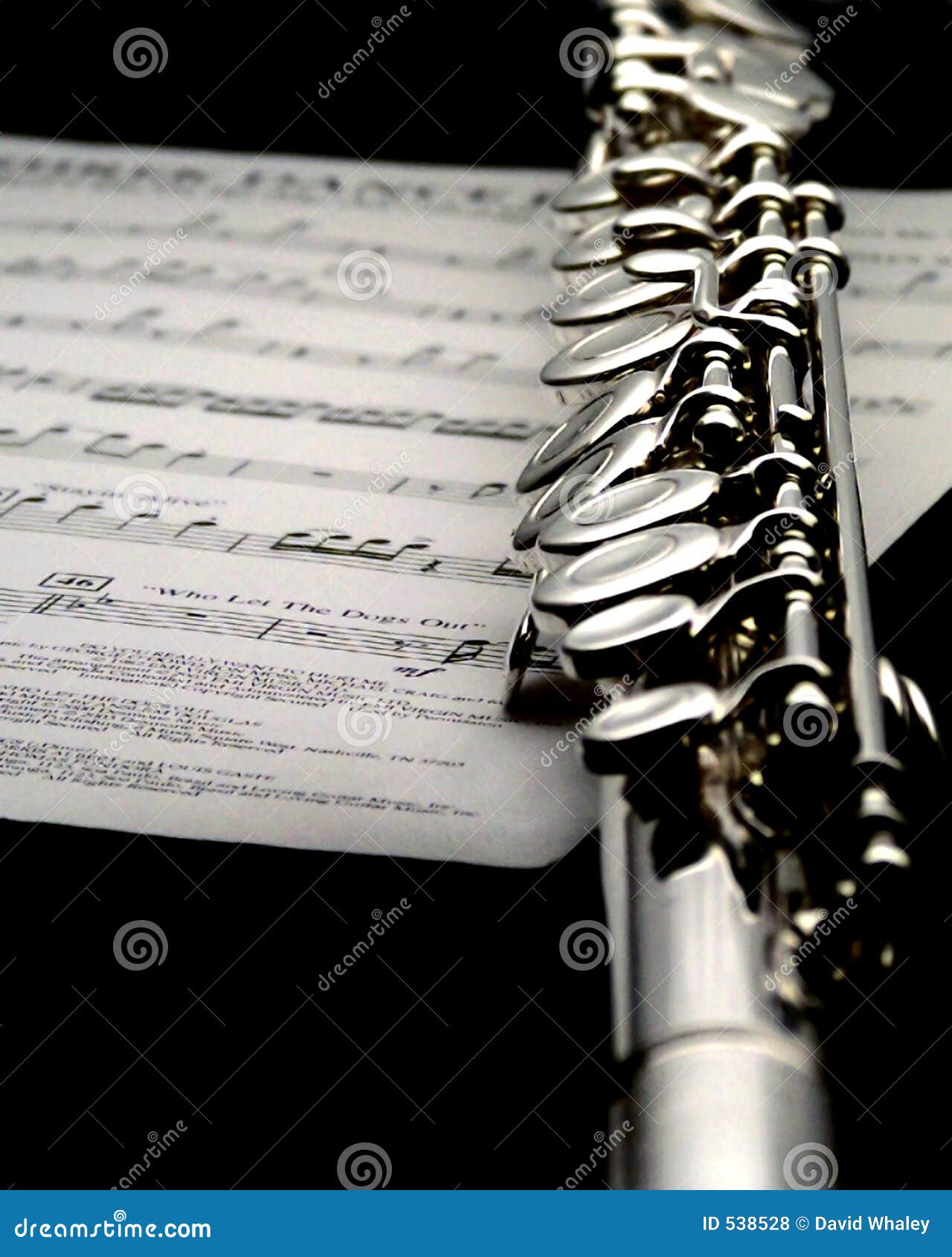 Sweet Music. stock photo. Image of length, musician, woodwind - 538528