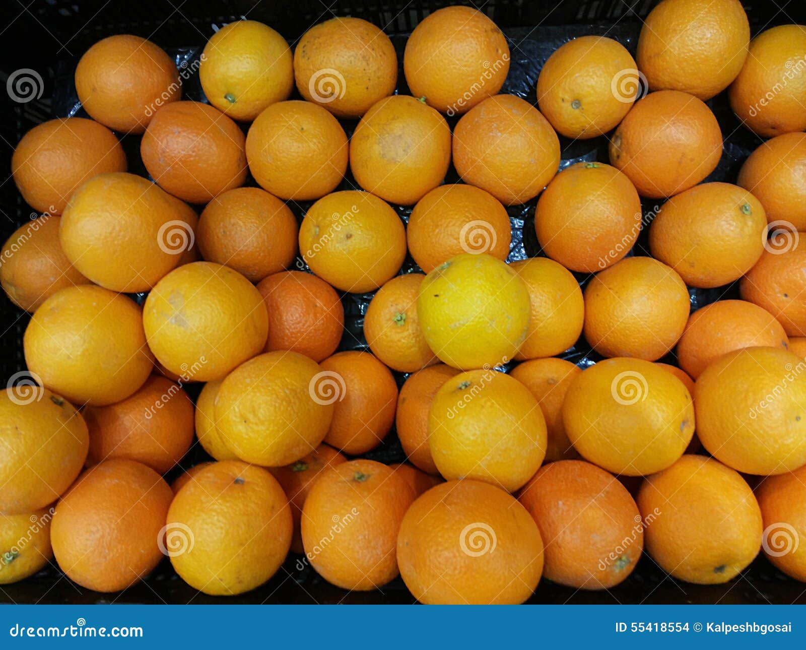 Sweet Orange stock photo. Image of group, fruit, leaf - 55418554