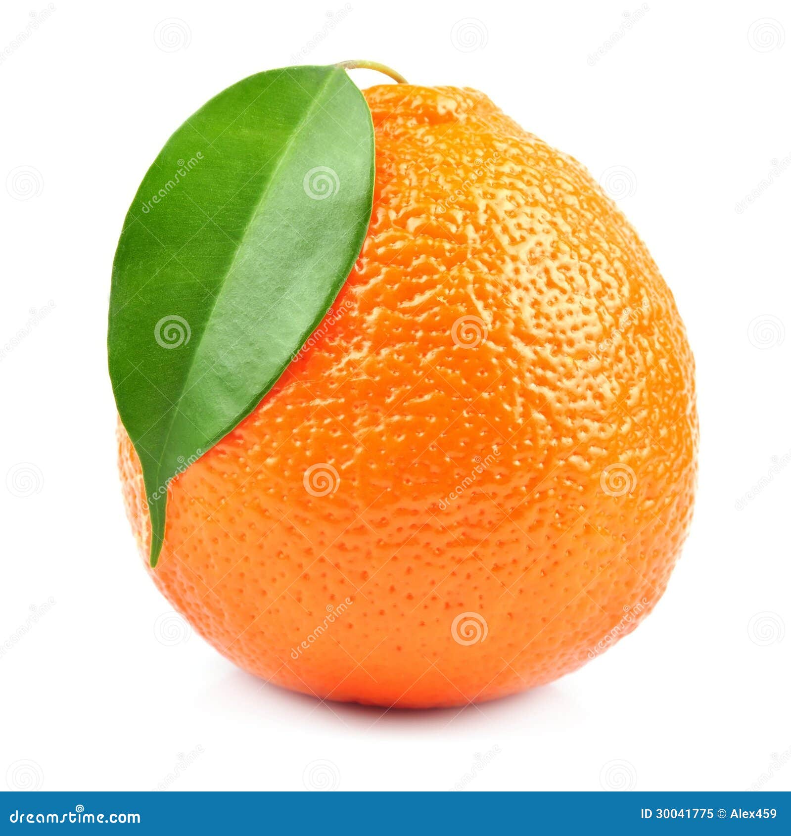 Sweet oranges fruits stock image. Image of tropical, juicy - 30041775