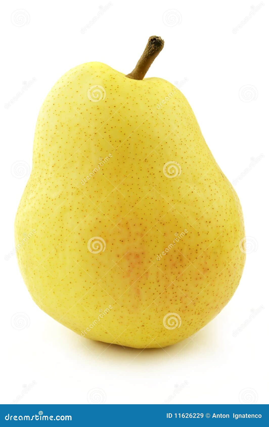 Sweet pear stock image. Image of ripe, nature, macro - 11626229