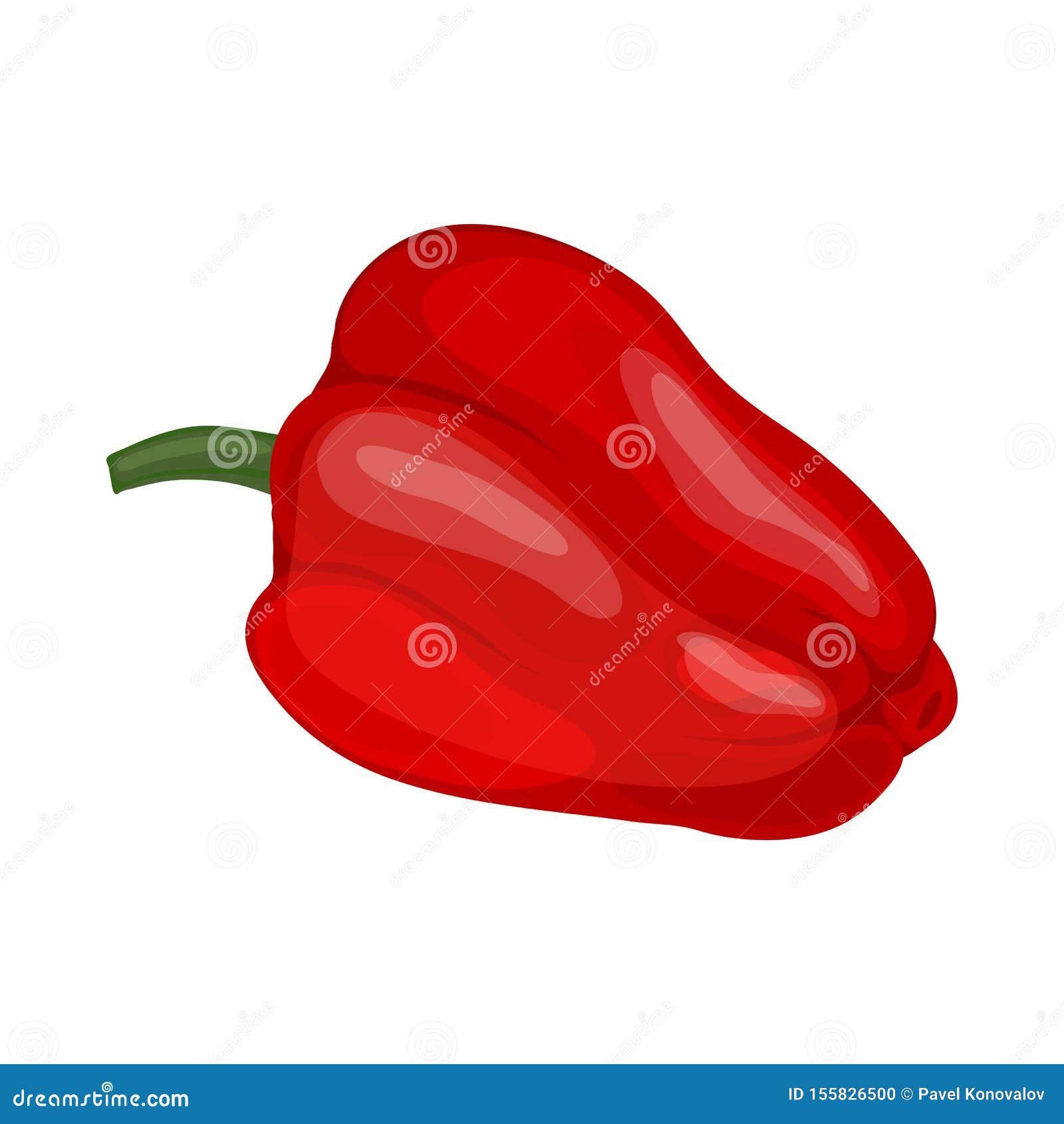 Sweet Pepper stock vector. Illustration of ingredient - 155826500