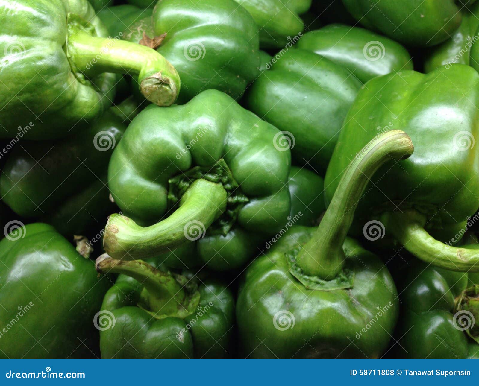 Sweet pepper green color stock photo. Image of sweet - 58711808