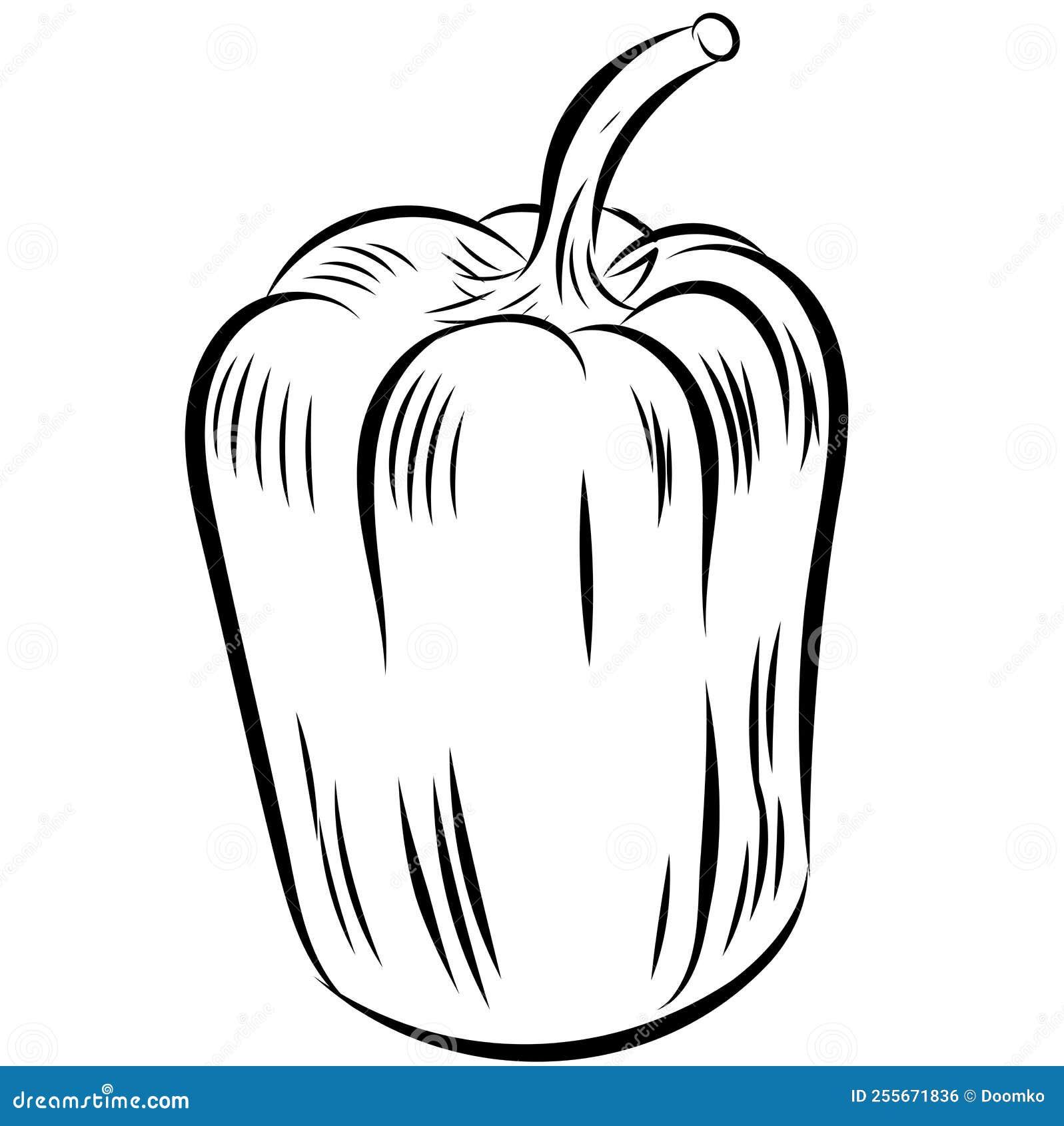 Pepper Hand Drawn Vector Set. Vegetable Engraved Style Object, F ...