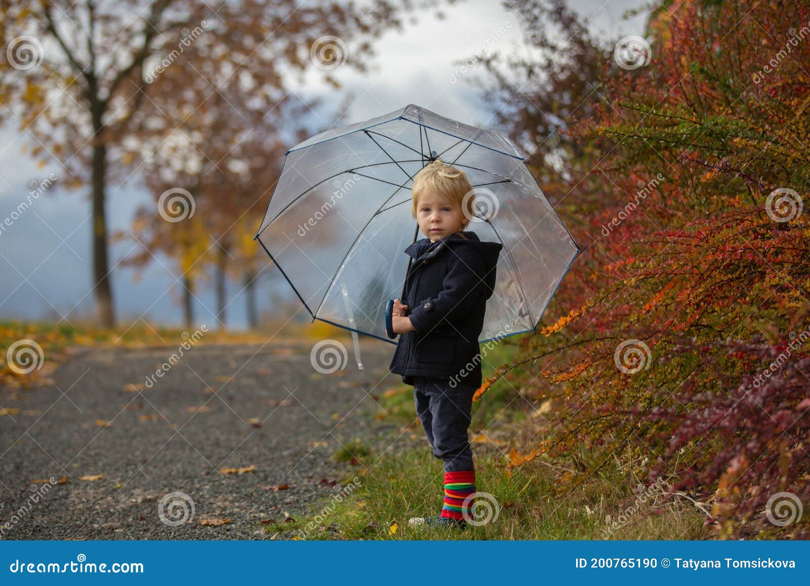 Sweet Peuterblond Kind Schattige Jongen Die In Het Herfstpark Speelt