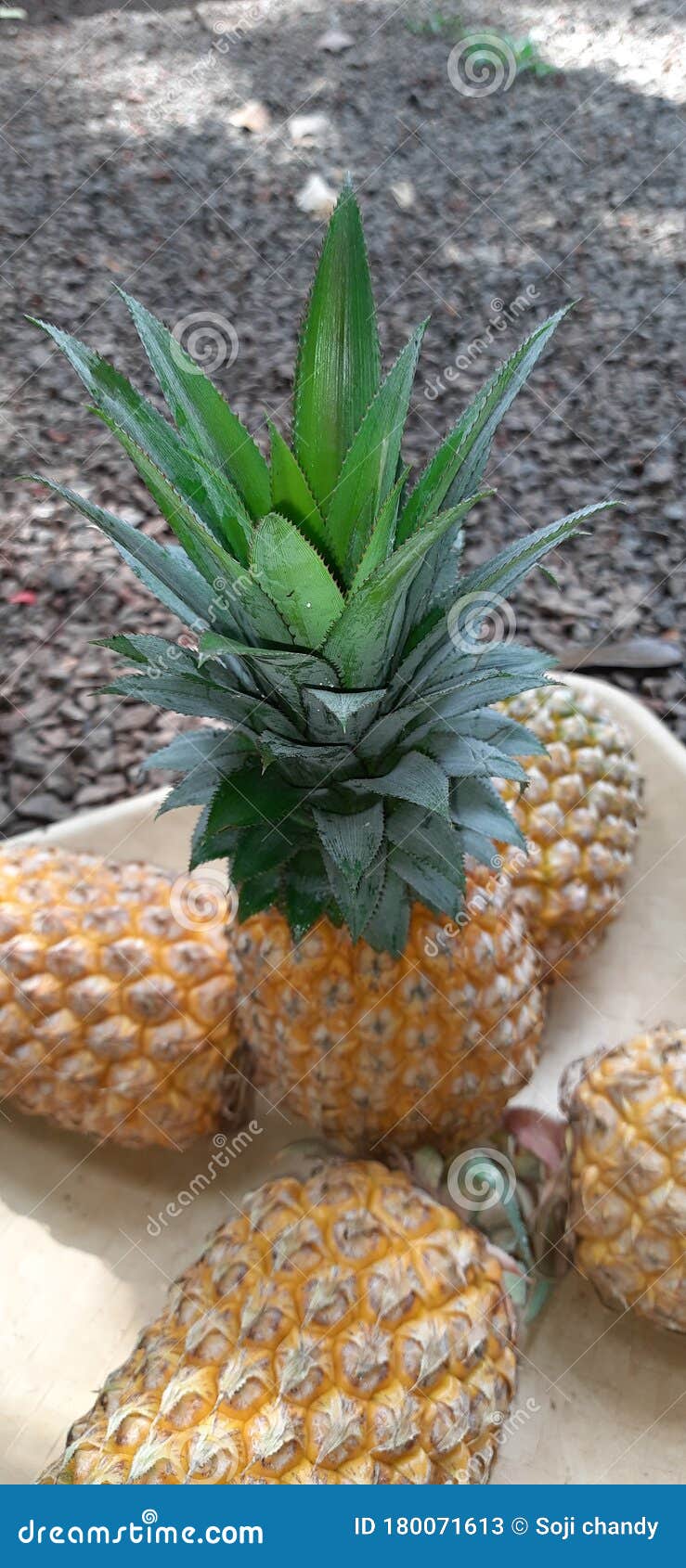 Sweet Pinapple Froot Presented Stock Image - Image of froot, presented ...