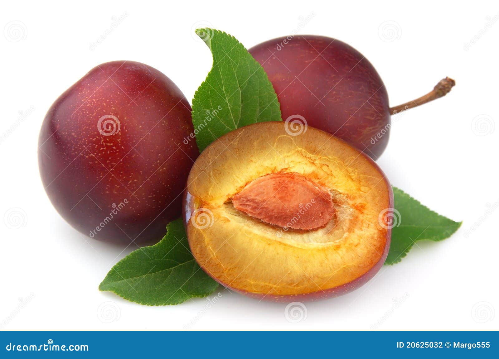 Sweet plums stock photo. Image of green, fresh, food - 20625032
