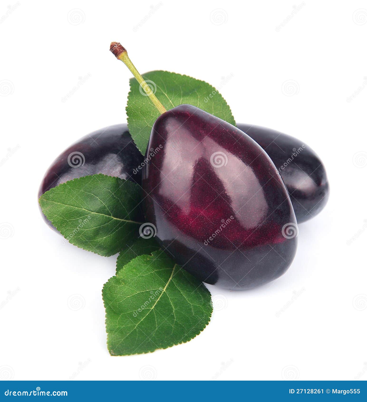 Sweet plums stock image. Image of prune, green, plum - 27128261