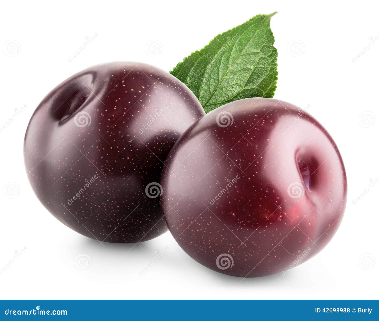 Sweet plums stock photo. Image of blue, berry, ripe, group - 42698988