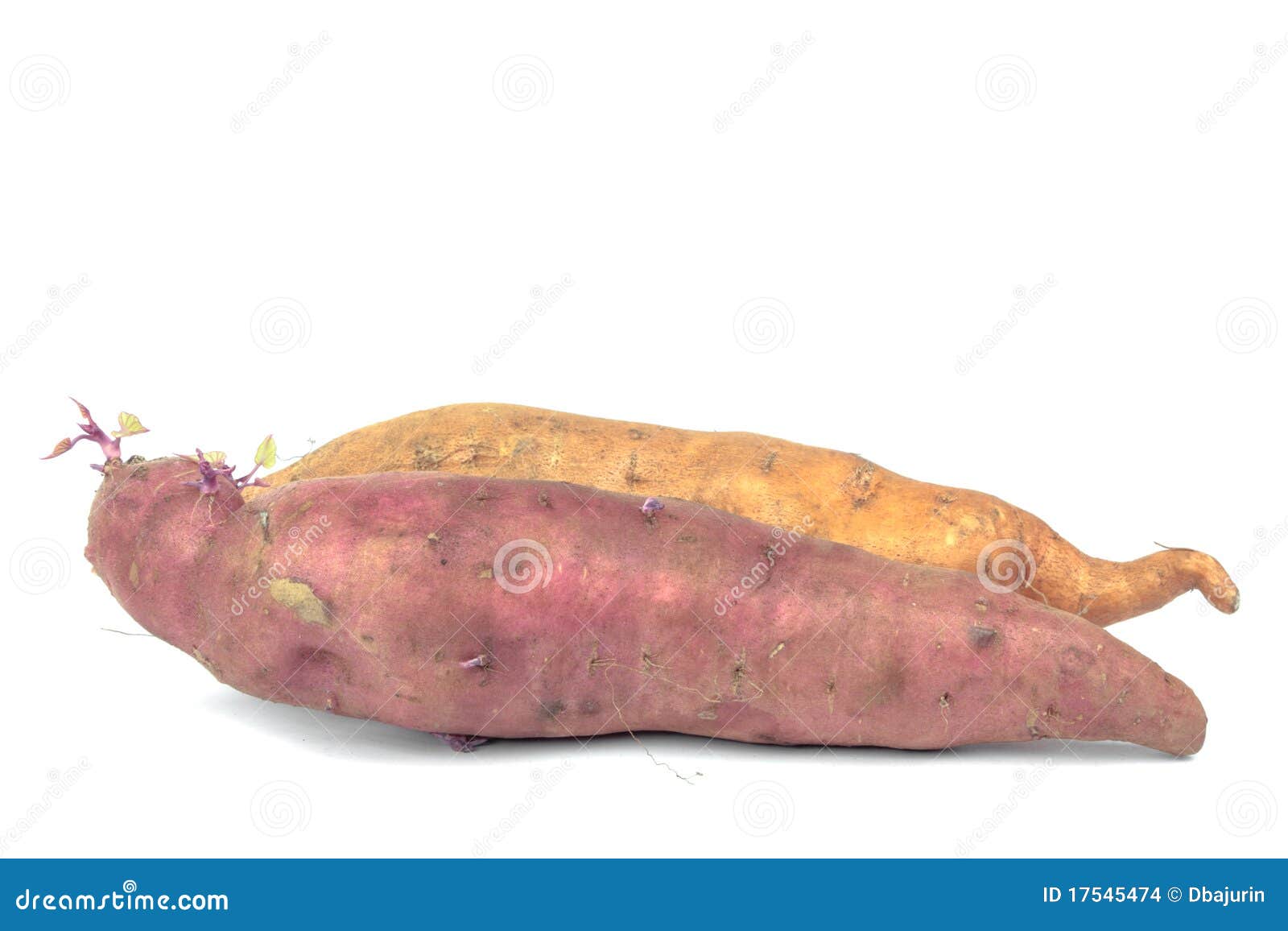 The sweet potato - batat stock photo. Image of sweet - 17545474