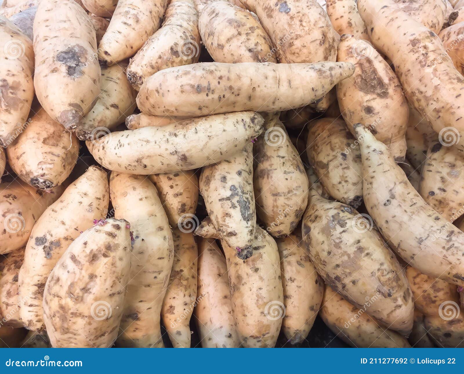 Sweet Potato Cilembu stock photo. Image of fruit, dish - 211277692