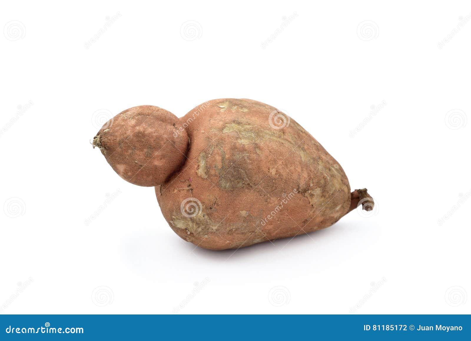 Tuber Weird Shape Photos - Free & Royalty-Free Stock Photos from Dreamstime