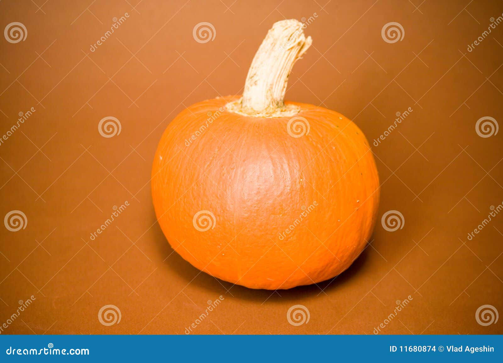Sweet pumpkin stock photo. Image of small, autumn, squash - 11680874