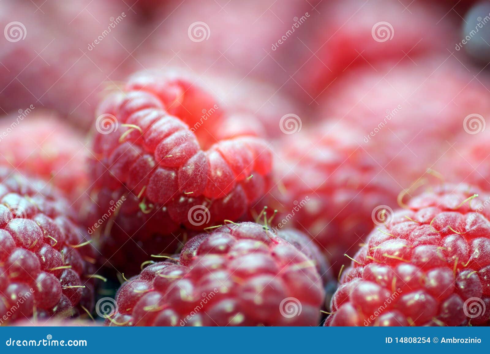 Sweet raspberry stock photo. Image of white, fitness - 14808254