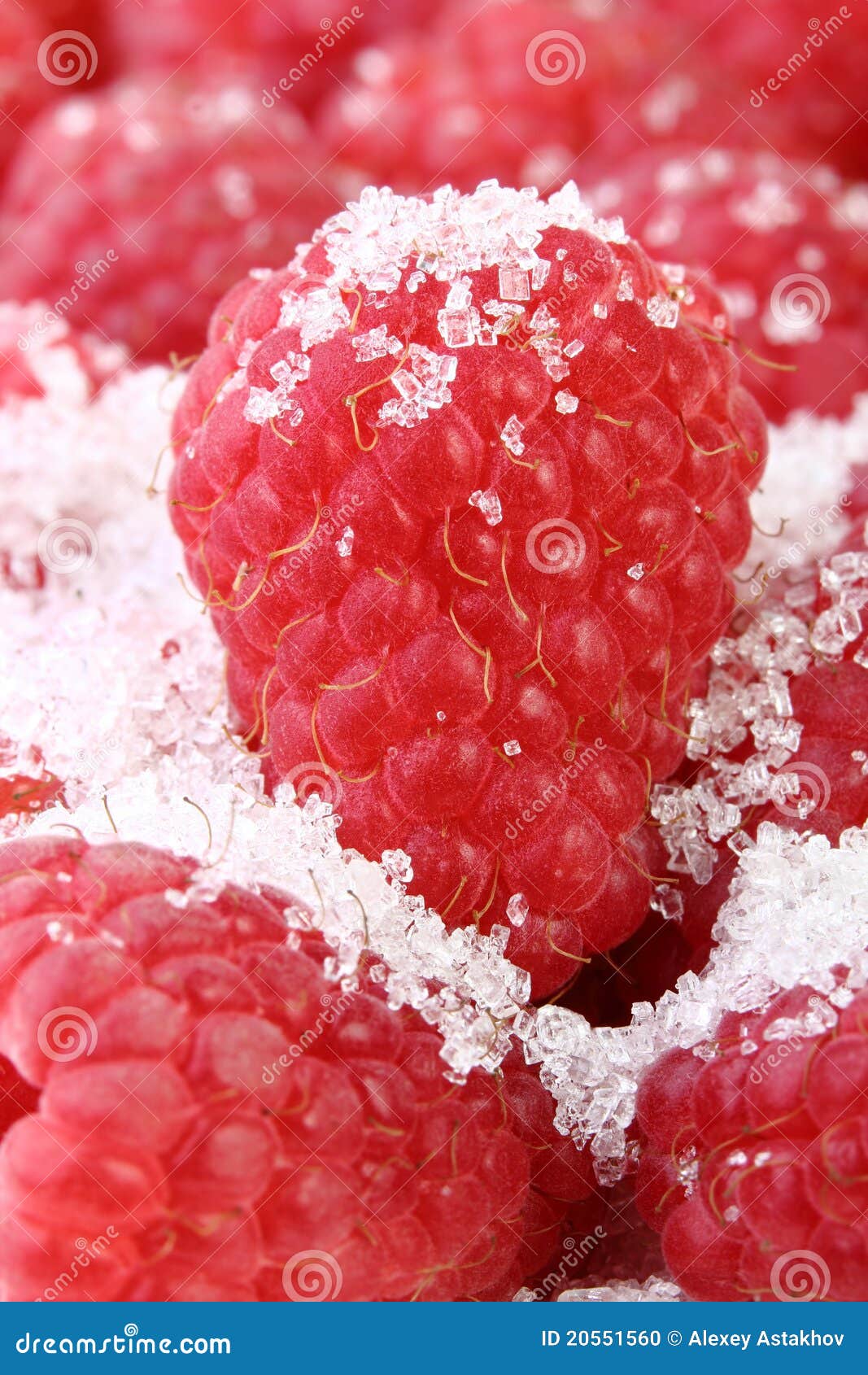 Sweet raspberry stock photo. Image of raspberry, sprinkle - 20551560