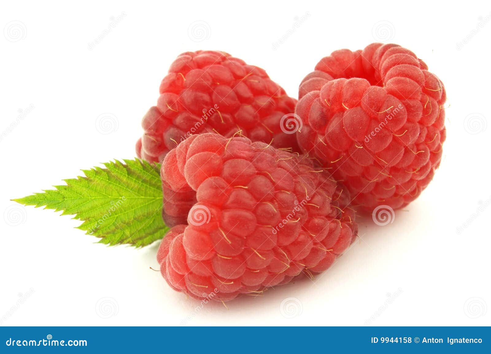 Sweet raspberry stock photo. Image of fruity, raspberry - 9944158