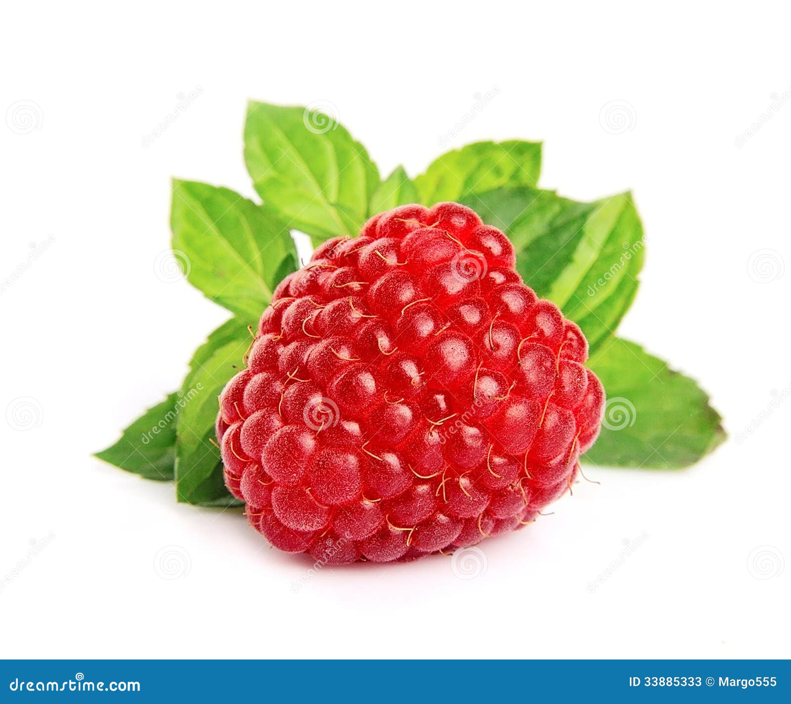 Sweet raspberry with leafs stock image. Image of dessert - 33885333