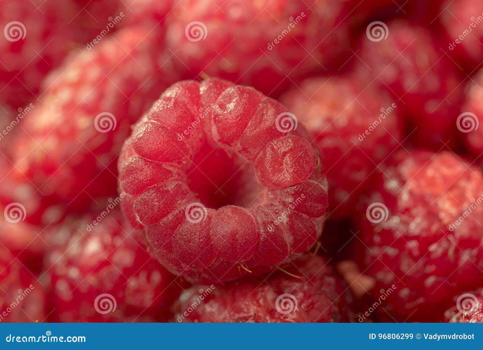 Sweet raspberry. Macro stock image. Image of sweet, gourmet - 96806299