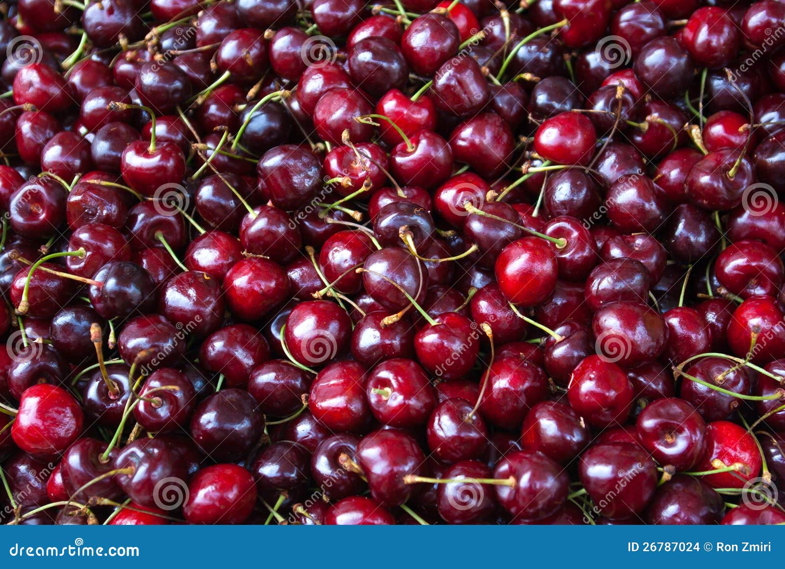 Sweet red cherries stock photo. Image of nutrient, market - 26787024