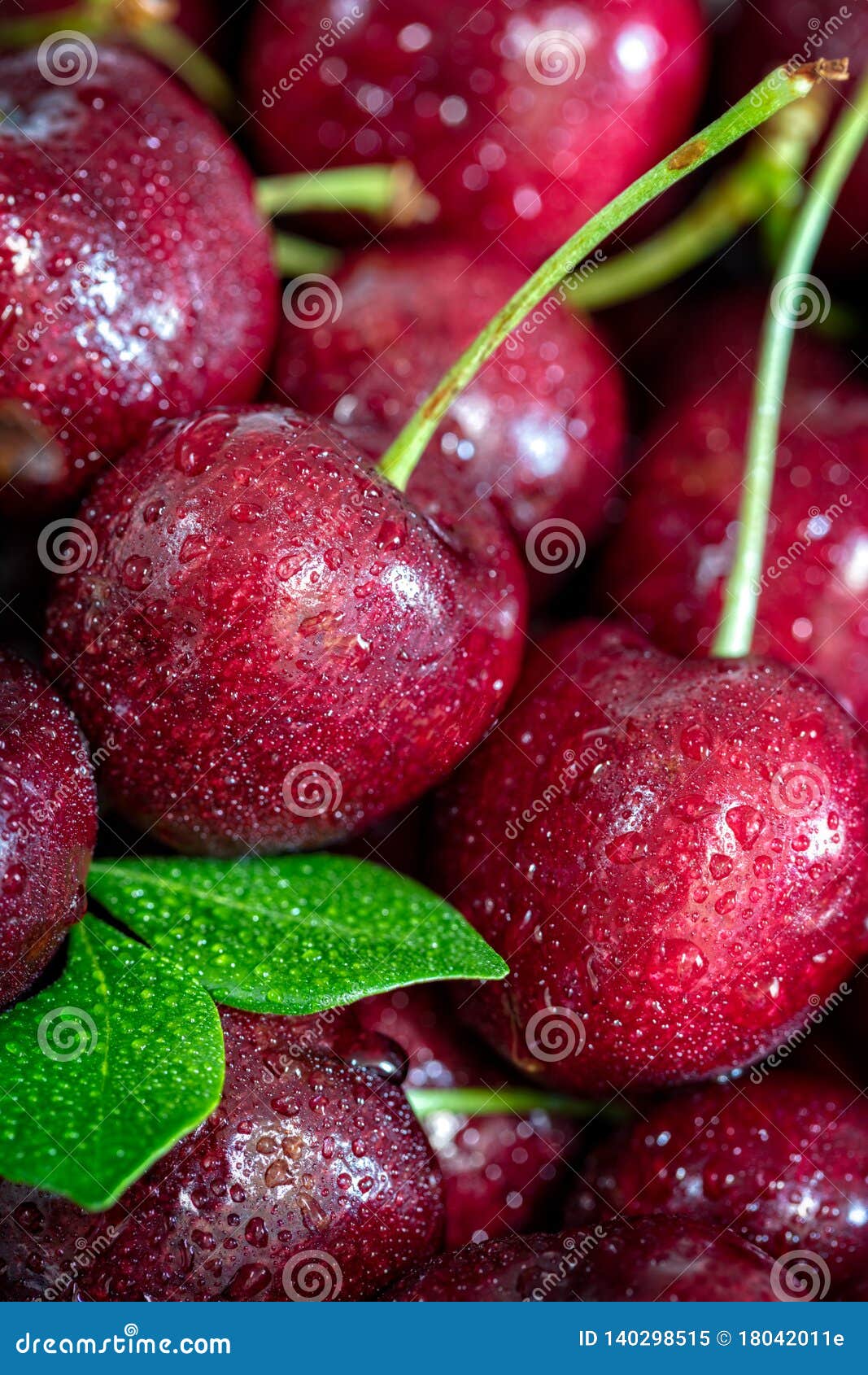 Sweet Red Cherries Background, Close Up, Vertical Composition - Image ...