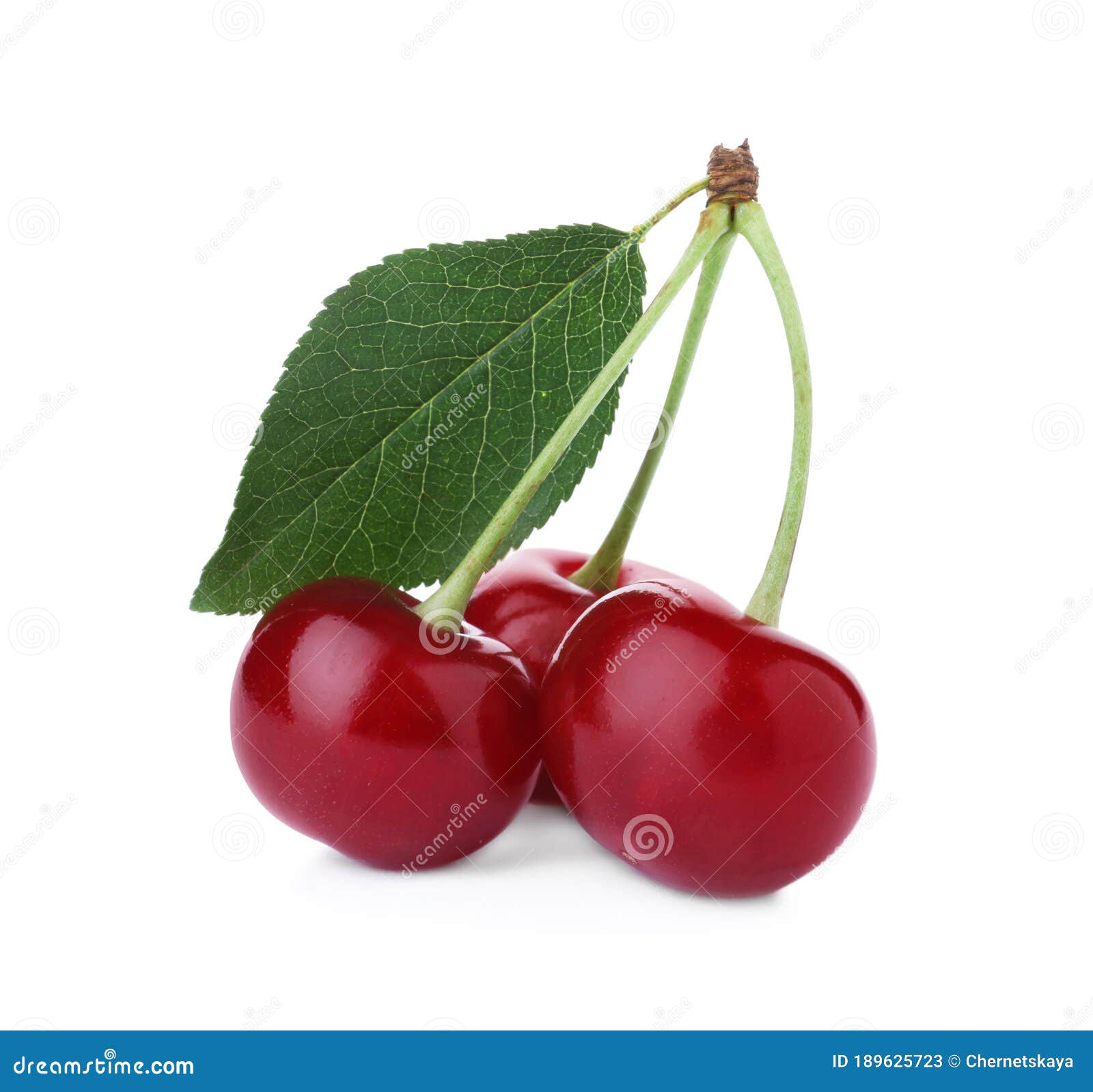 Sweet Red Cherries with Leaf Isolated Stock Image - Image of natural ...
