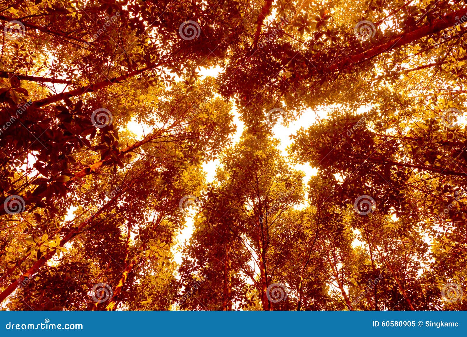 Sweet Red Color Tone of the Red Leafs As Retro Patt Stock Image - Image ...