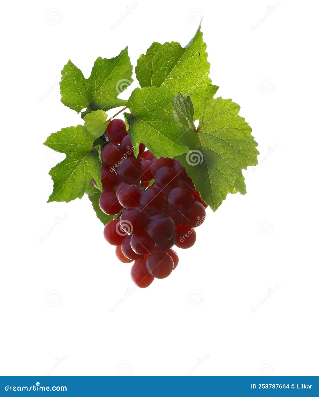 Sweet Red Grape with Green Fresh Leaves Isolated on White Background ...