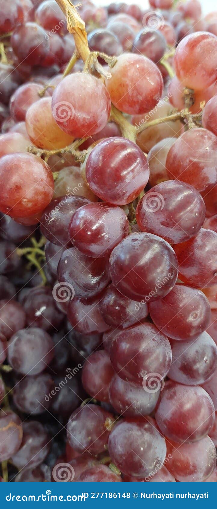 Sweet Red Grapes and Sparkling Fruit Stock Photo - Image of apple ...