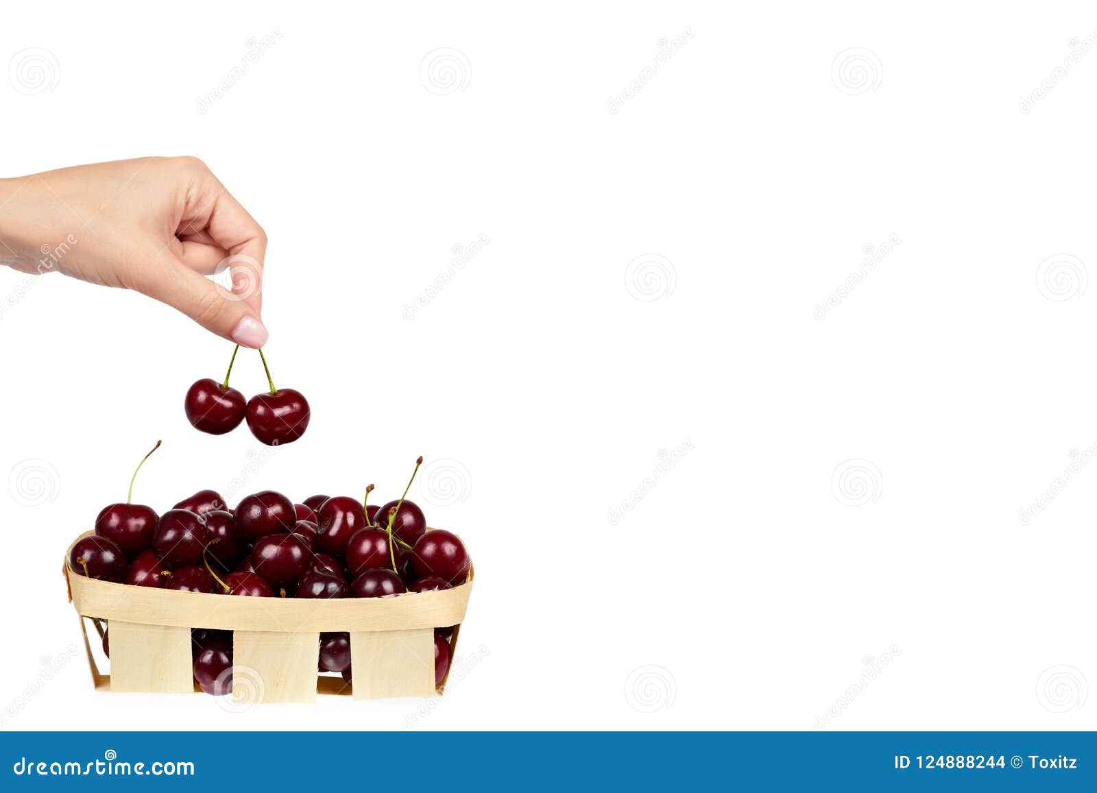 Sweet Ripe Cherry in Package with Hand Isolated on White Background ...