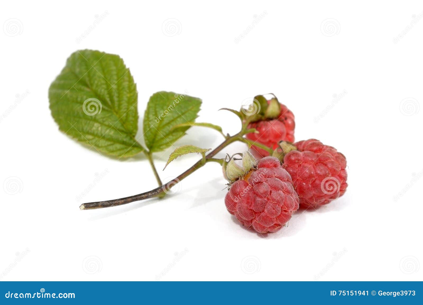Sweet ripe raspberry stock image. Image of healthy, isolated - 75151941