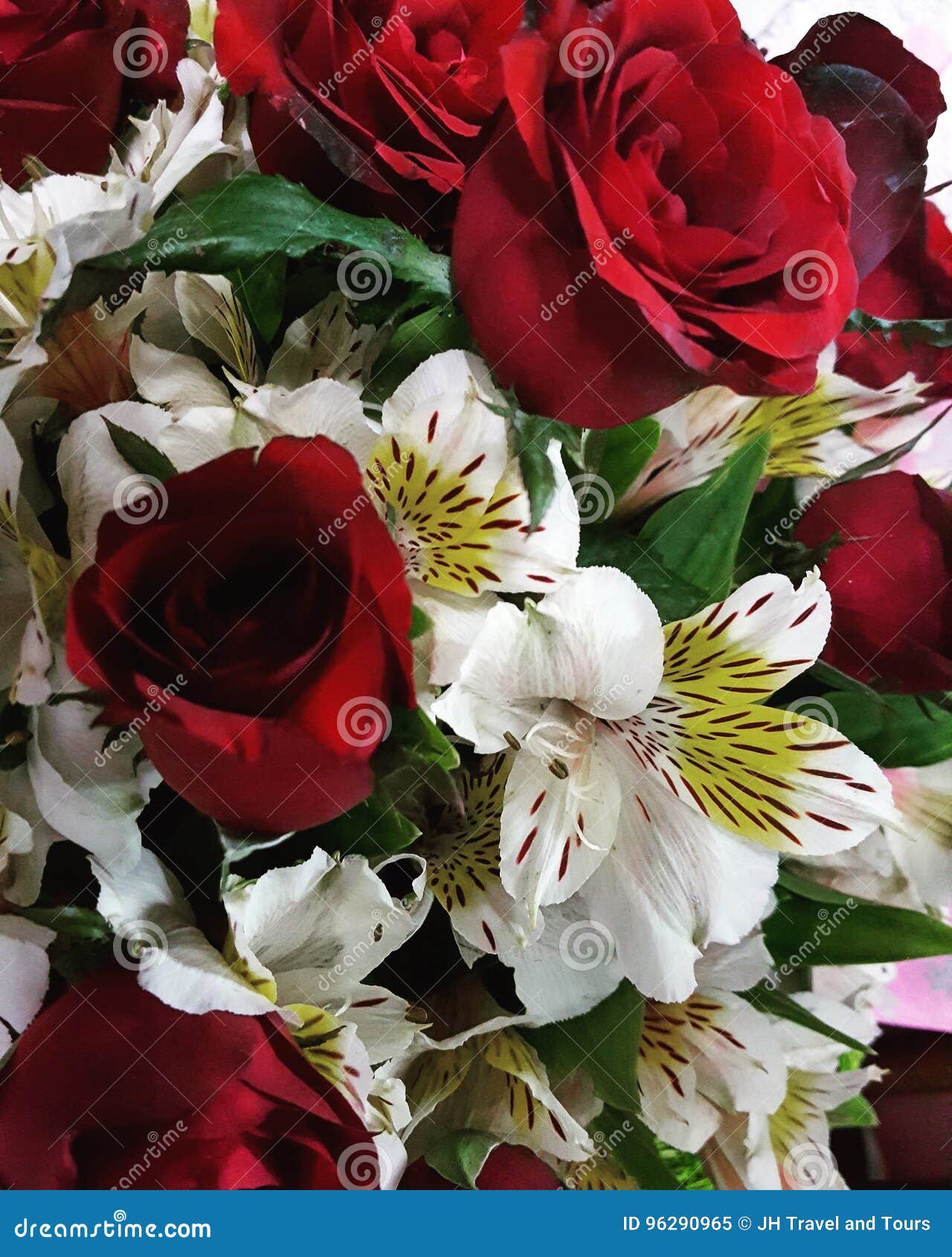 Sweet roses stock image. Image of fresh, sweet, love - 96290965