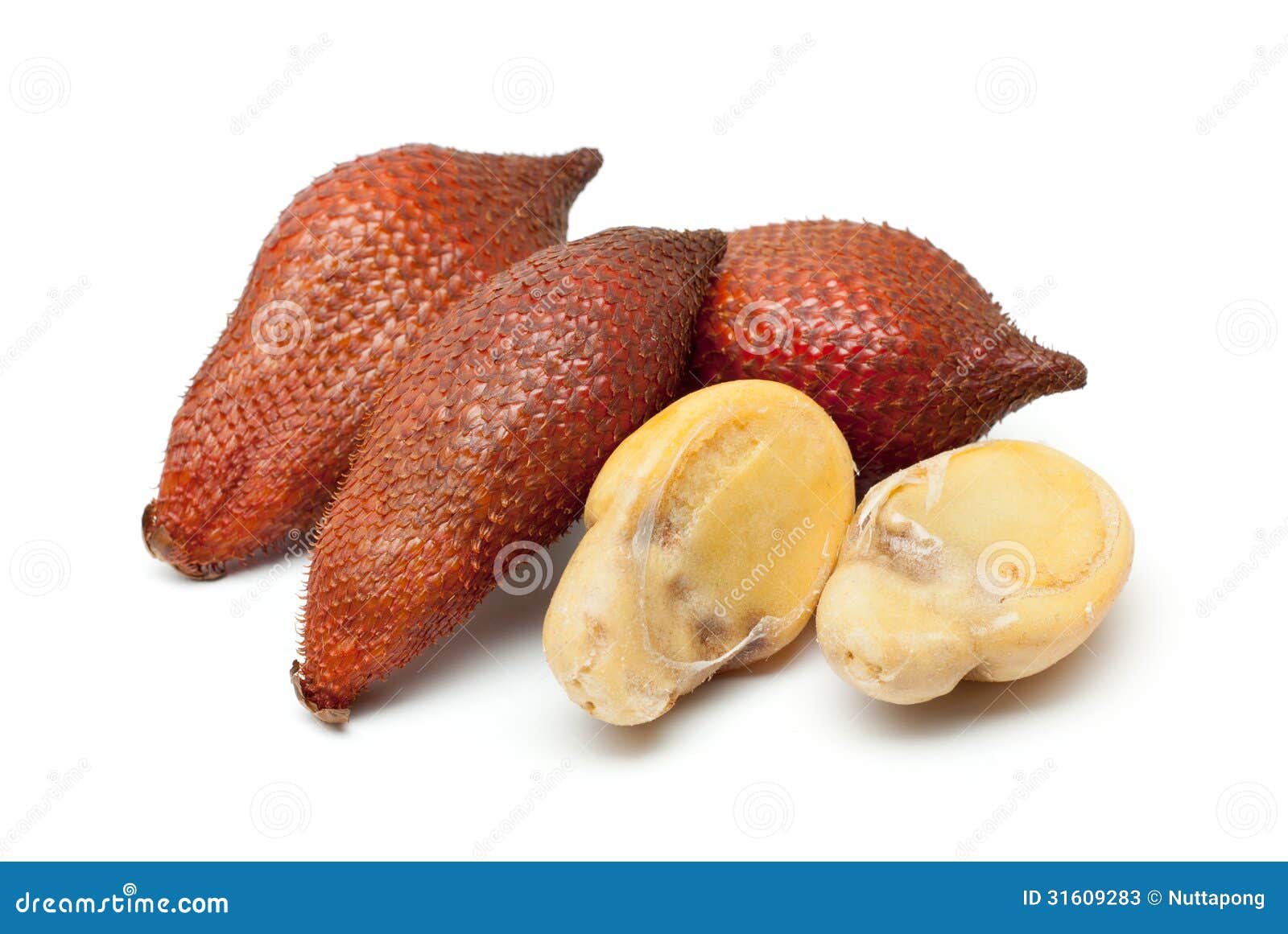 1,060 Salak Plant Stock Photos - Free & Royalty-Free Stock Photos from ...