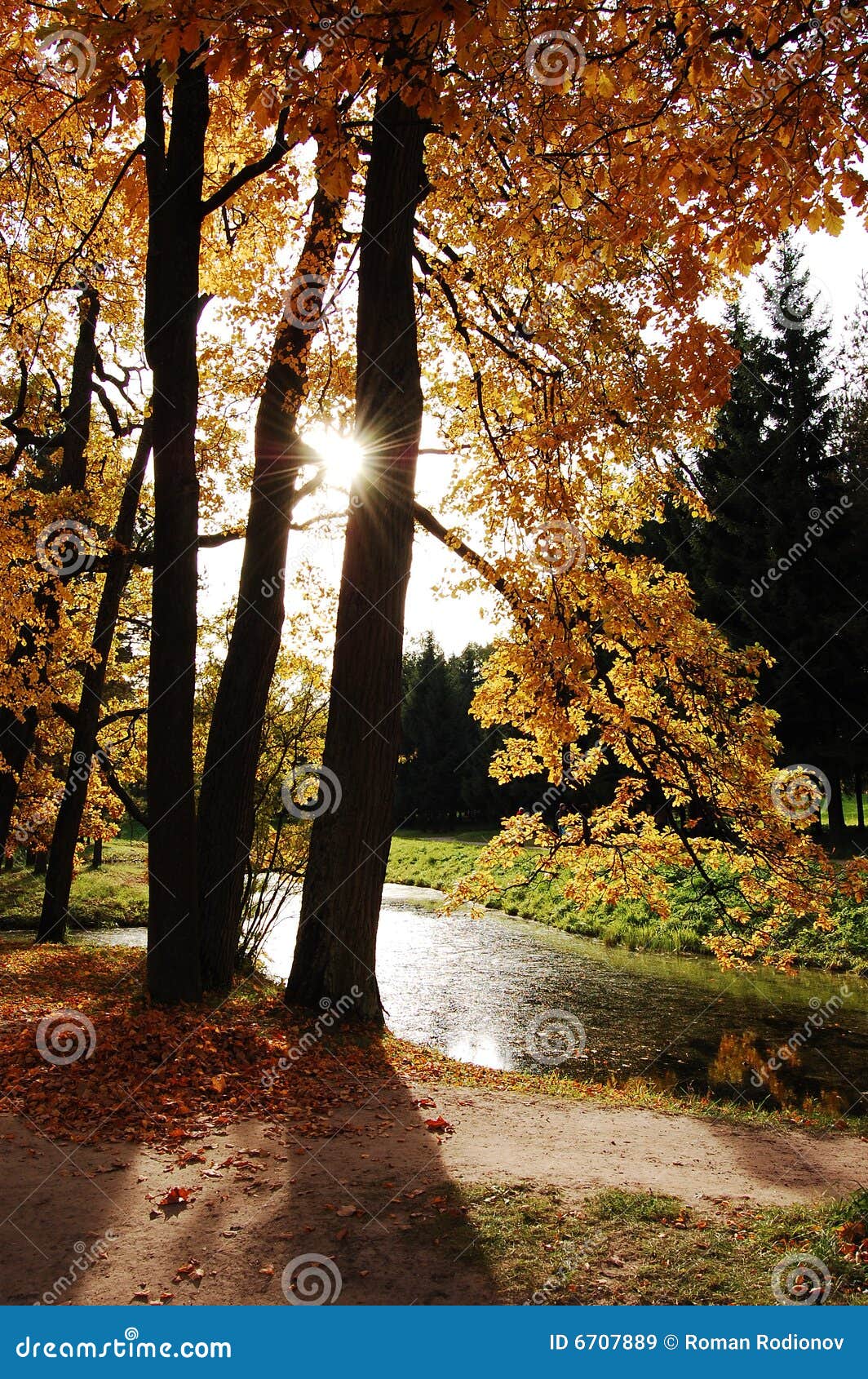 Sweet September stock image. Image of foliage, leaves - 6707889