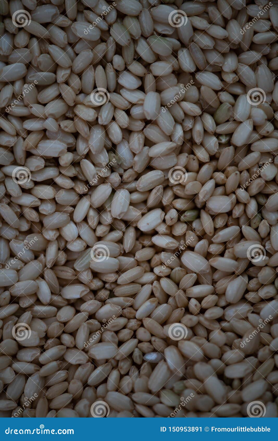 Sweet Short Grain Brown Rice Stock Image - Image of grains, texture ...