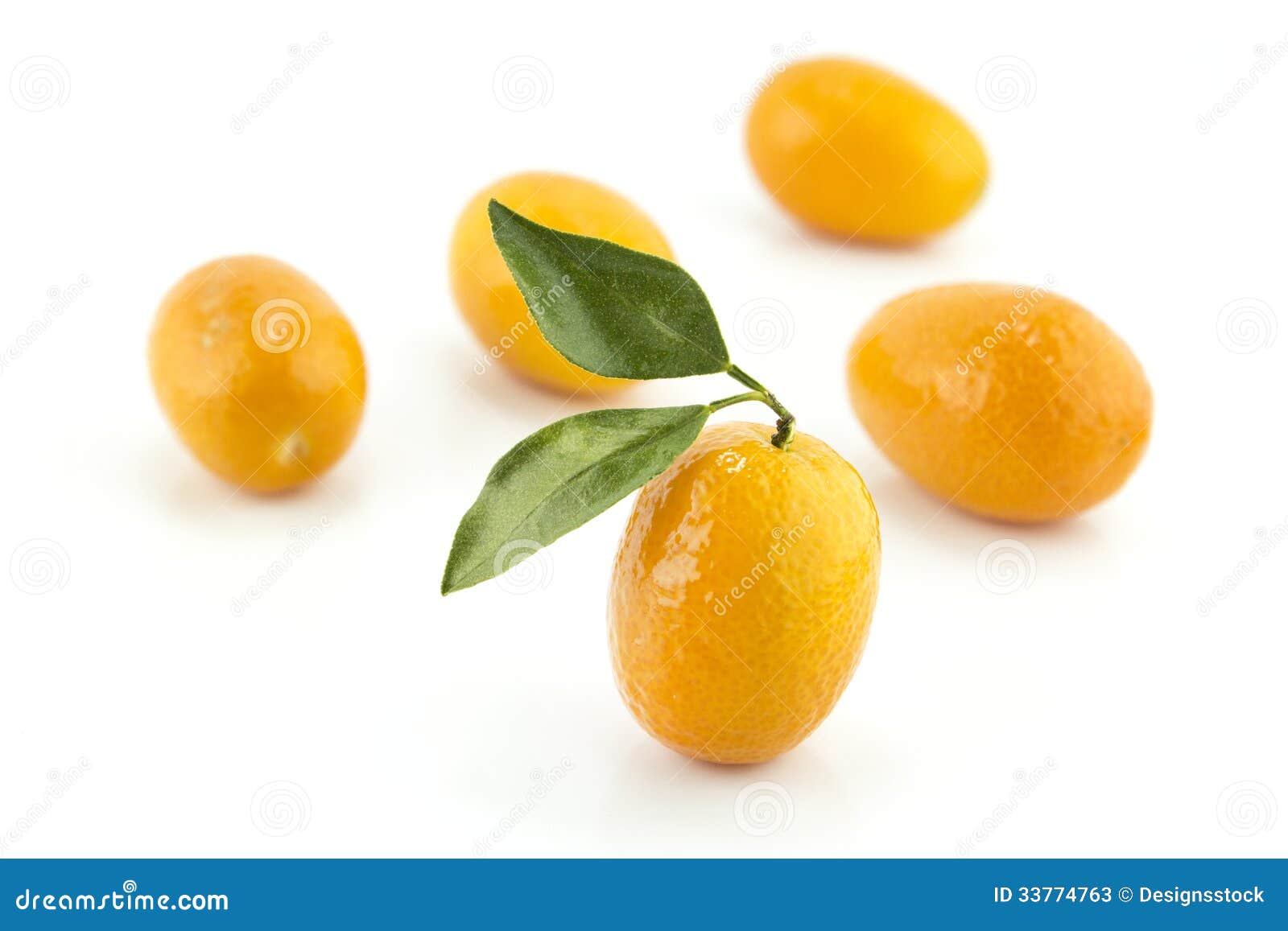 Sweet Small Orange stock image. Image of agriculture - 33774763
