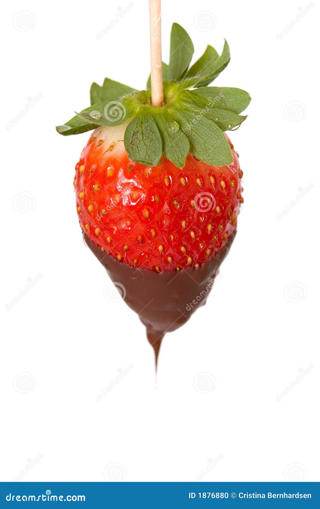 Sweet strawberry stock photo. Image of fruit, tasty, seeds - 1876880