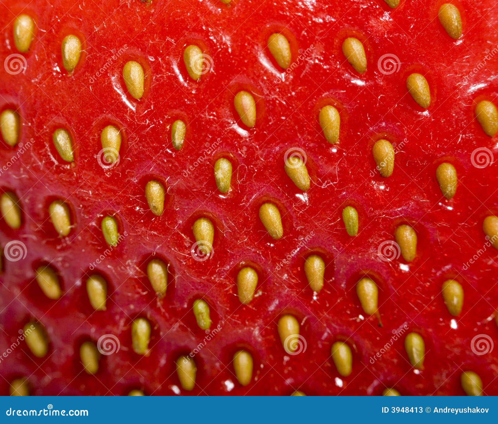 Sweet Strawberry. Close-up. Stock Image - Image of berries ...